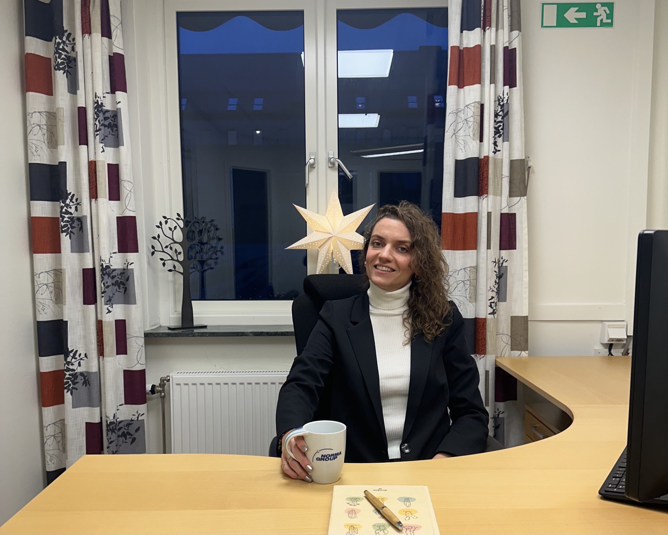 From Istanbul to Gothenburg: A story of professional change and ...