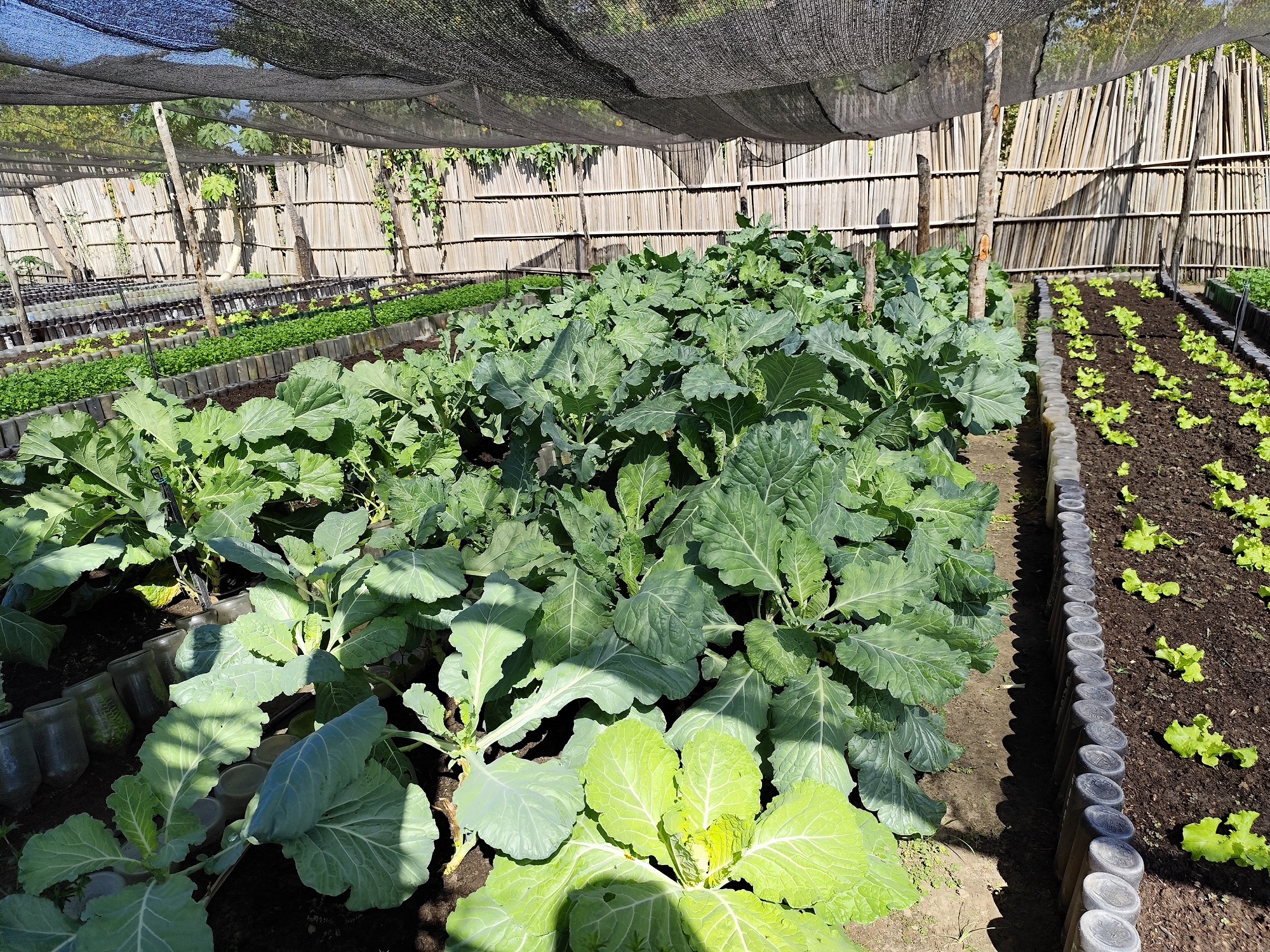 NORMA Clean Water strengthens communities with sustainable water ...